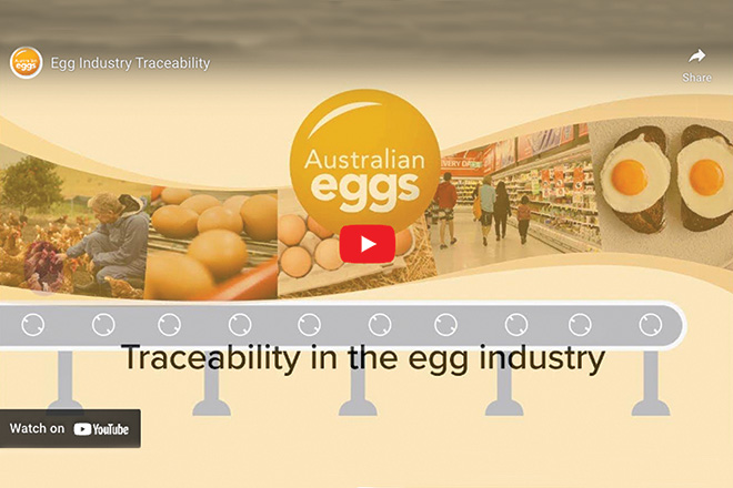 Oz safer than ever with new industry traceability tools - Poultry News