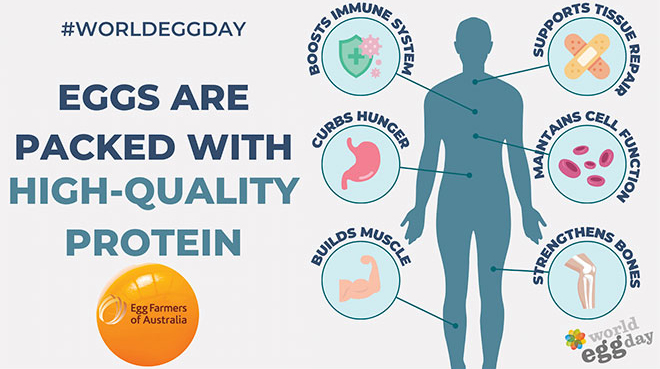 Get cracking cobber and boil a googy for the nation - Poultry News